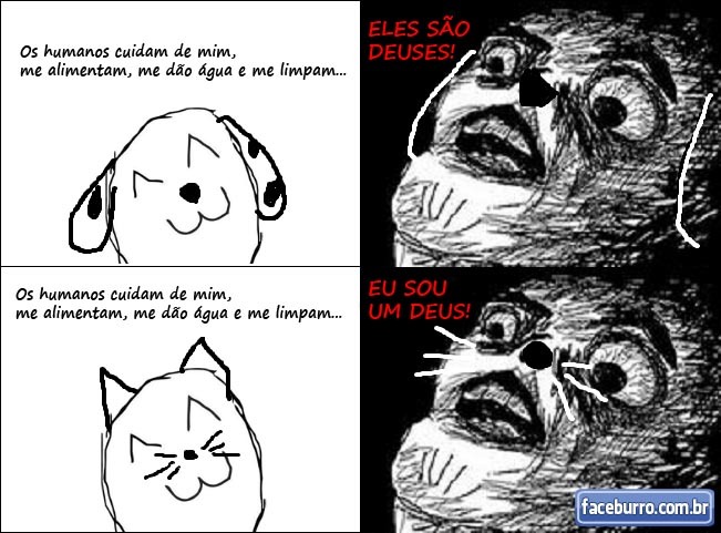 gatos e cachorros - Meme by DragonSwadow :) Memedroid
