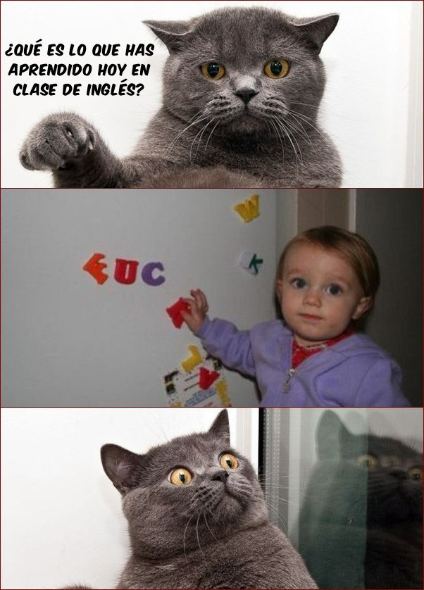 Fuck The System - Meme subido por Gupik :) Memedroid