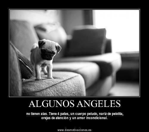 angeles - Meme by alexrey585 :) Memedroid