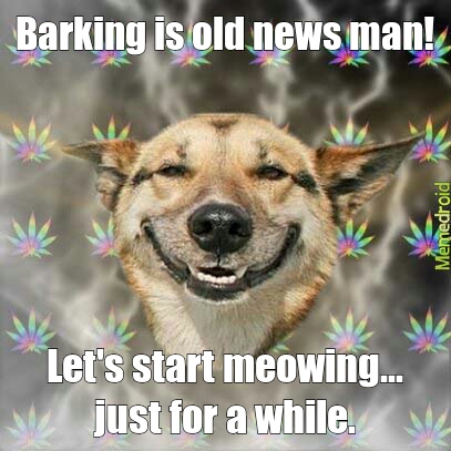 barking - Meme by funnybabe :) Memedroid