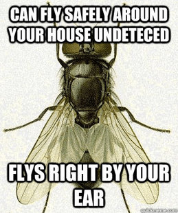 fly - Meme by PartyPioneer :) Memedroid