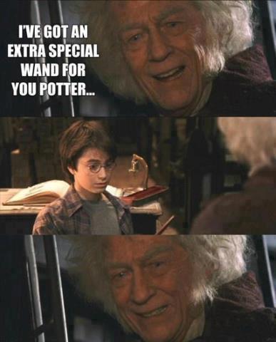 a wand for harry - Meme subido por plustax :) Memedroid