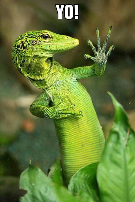 YO! - Meme subido por ingan_oivalf :) Memedroid