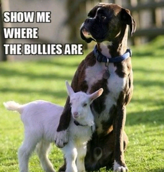 Aw - Meme by thatnerdygirl :) Memedroid