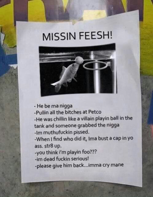 FEEESH!!! - Meme by beastlt66 :) Memedroid