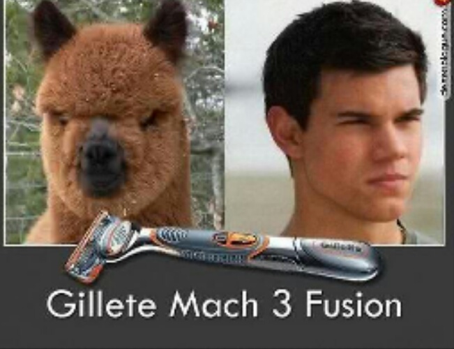 gillette mach 3 - Meme subido por educocco :) Memedroid