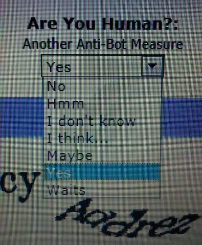 WHAT AM I?! - Meme by chibichell :) Memedroid