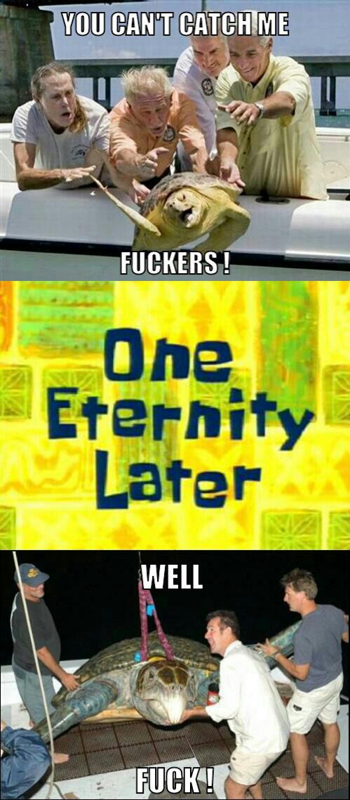 Catch me if you can - Meme by Just4Fun :) Memedroid