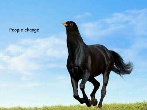 i changed - Meme by schebascho :) Memedroid