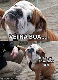 fica calmo brod - Meme subido por mpguedessousa :) Memedroid