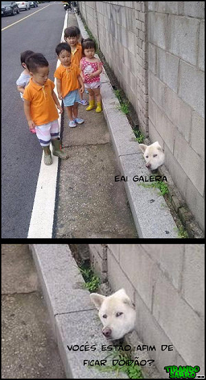 dorgas, DORGAS! - Meme by Lokura :) Memedroid