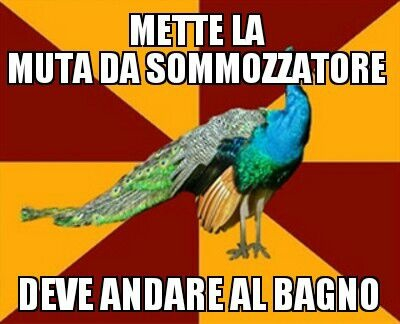 Andy tratto and cool man - Meme subido por cool man :) Memedroid