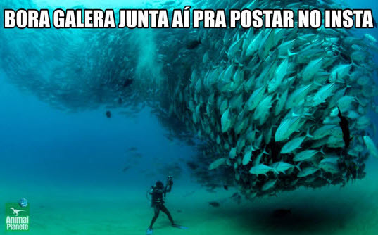 Digam x - Meme by mppaumos :) Memedroid