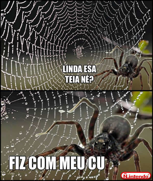 Vida de spoders - Meme by Amazingui_spoder-man :) Memedroid