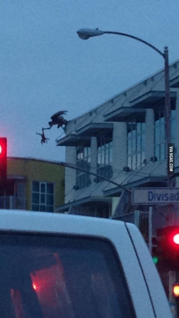 wtf - Meme subido por alex.machis :) Memedroid