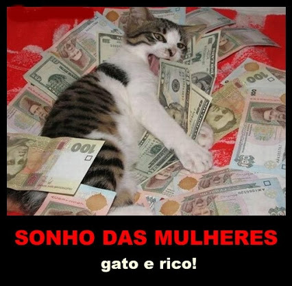 gato rico - Meme subido por jhonataskhan :) Memedroid