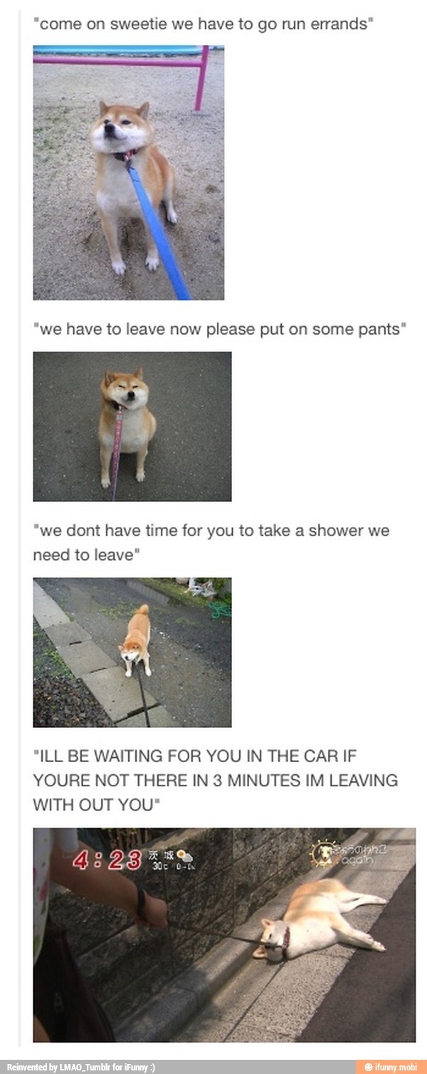 every time - Meme by EltonJohn :) Memedroid