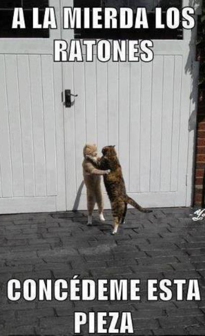 bailas ? - Meme subido por nelcorde :) Memedroid