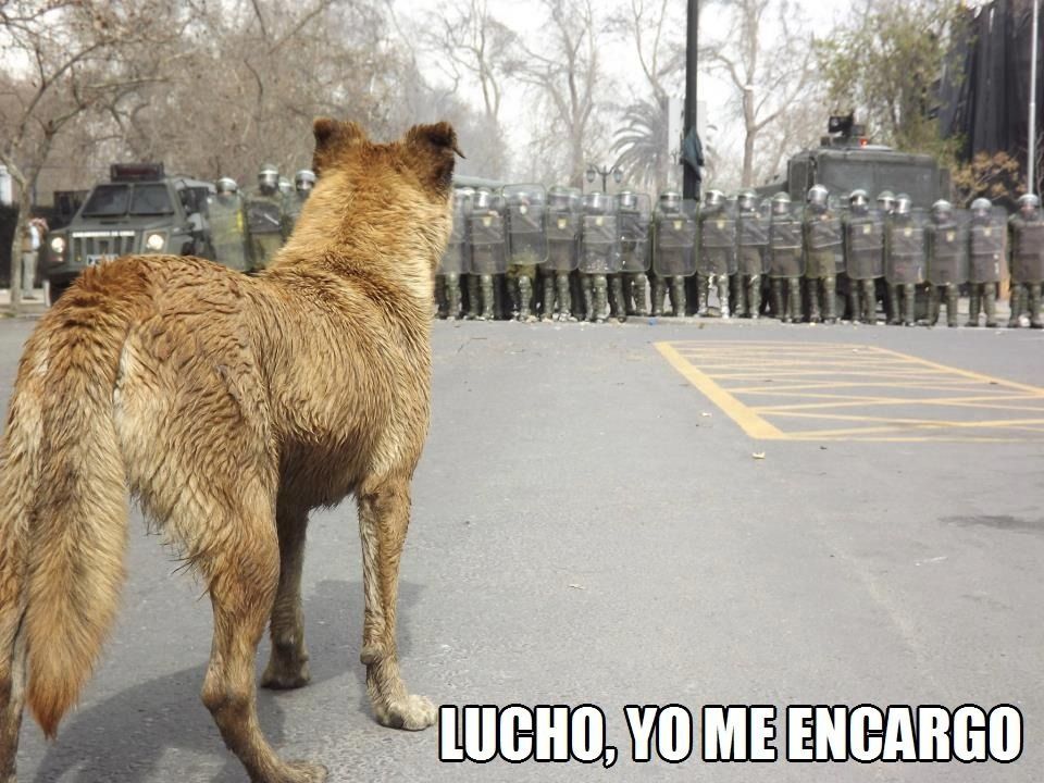 si se puede - Meme by pichicusquis :) Memedroid