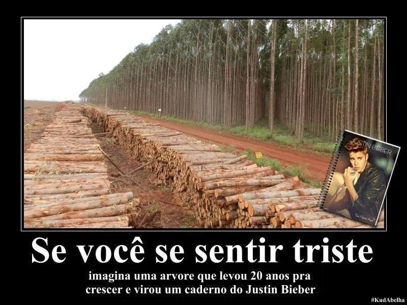 Coitada - Meme by CharloneChar :) Memedroid