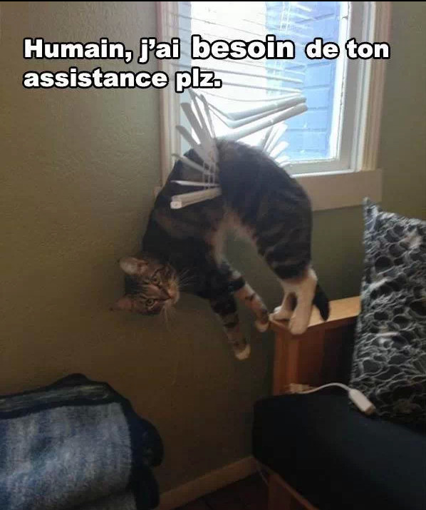 haha humain !! - Meme subido por VitamineC :) Memedroid