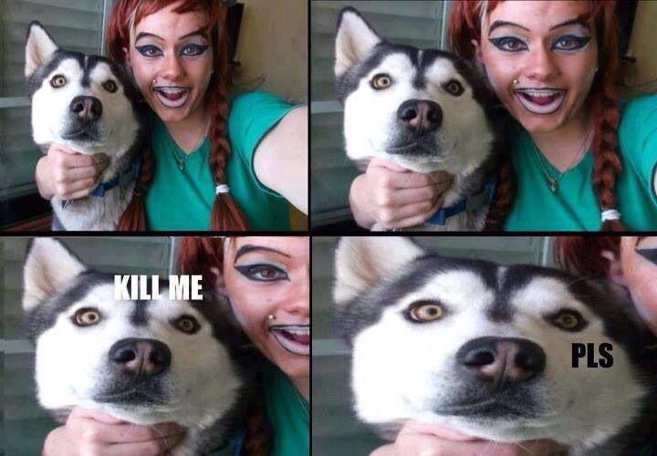 Kill me pls - Meme by Jareth:D :) Memedroid