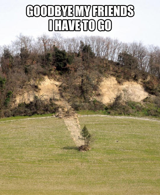 Bye, bye - Meme by irishdaisy44 :) Memedroid