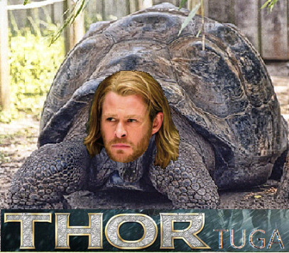 THORtuga - Meme subido por tucka_1 :) Memedroid