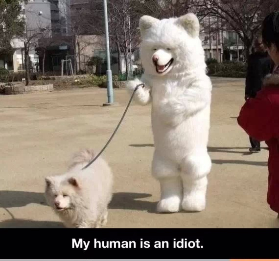 Stupid human - Meme by kbfanla24 :) Memedroid