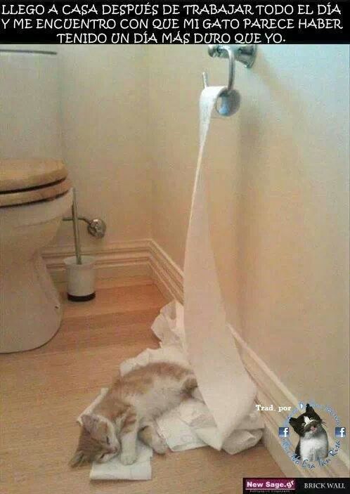 looooooool - Meme subido por fubol :) Memedroid