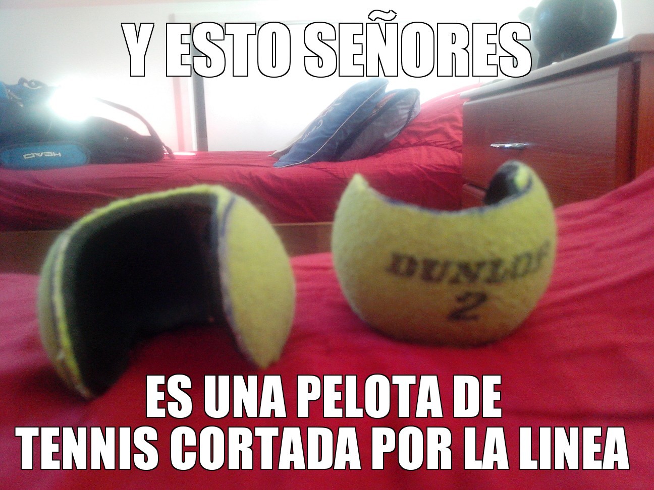 pelota de tenis - Meme subido por max_valenzuela :) Memedroid