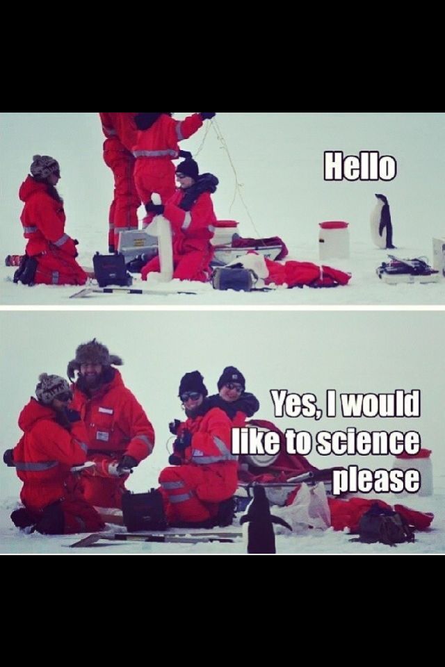 Aww little guy - Meme by mckaylahpoop :) Memedroid